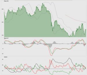 Delta Corp Results Sep 2019 – Wealth, Money and Abundance