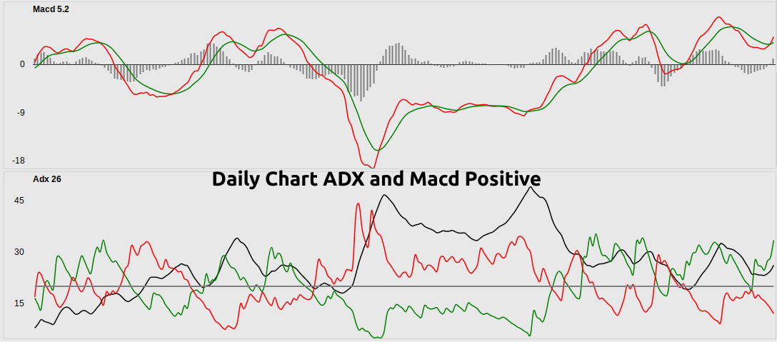 Trending Stock : Delta Corp : DELTACORP – Wealth, Money and Abundance